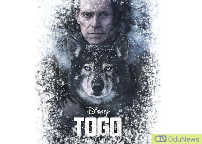 ‘Togo’ Movie Review: A Poignant Story Of The Power Of Will In The Face ...